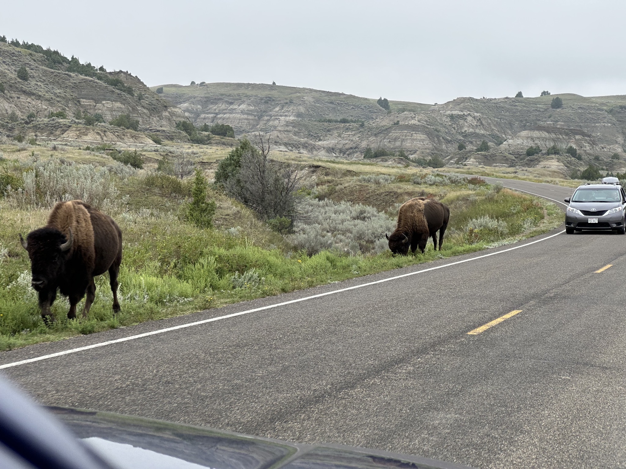 Theodore Roosevelt National Park South Unit – Sinclair Trails