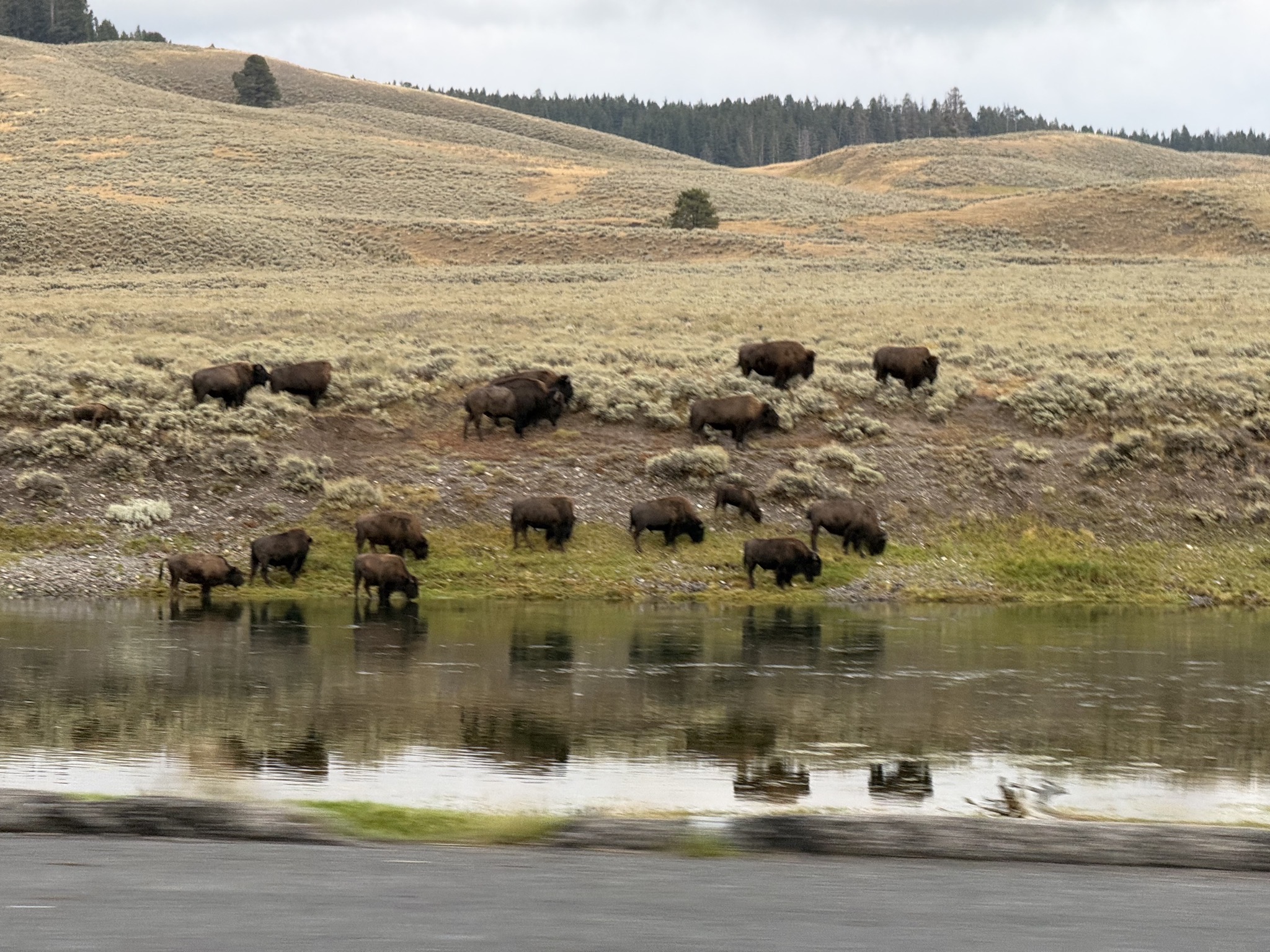 Yellowstone Lamar Valley area – Sinclair Trails